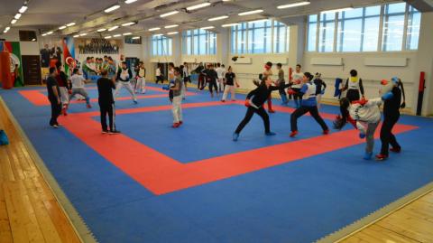 Azerbaijani karate fighters to battle for world medals